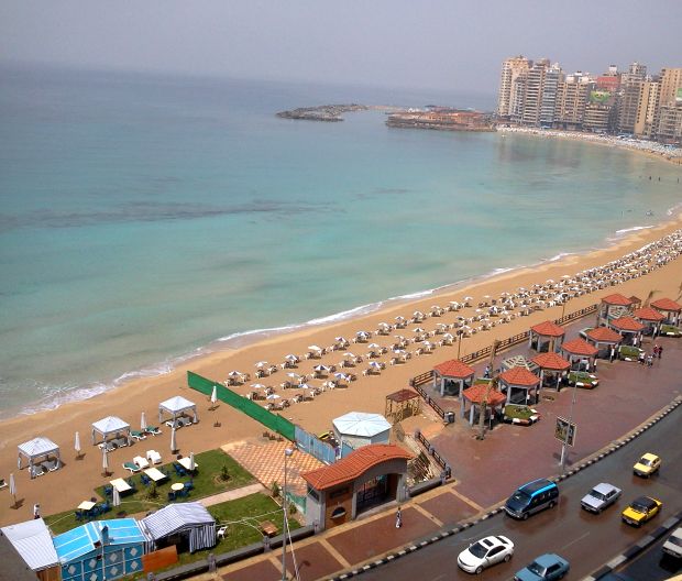 Musenblätter - Das unabhängige Kulturmagazin