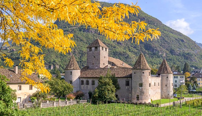 Musenblätter - Das unabhängige Kulturmagazin