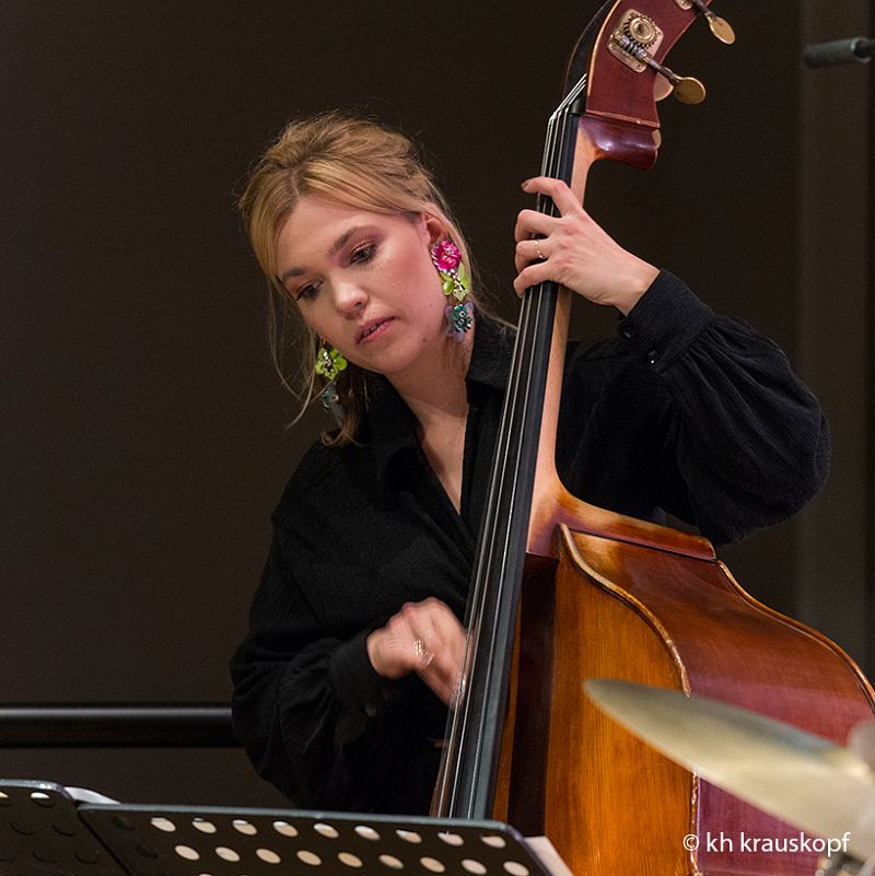 Musenblätter - Das unabhängige Kulturmagazin