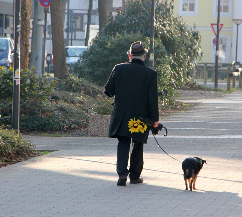 Musenblätter - Das unabhängige Kulturmagazin