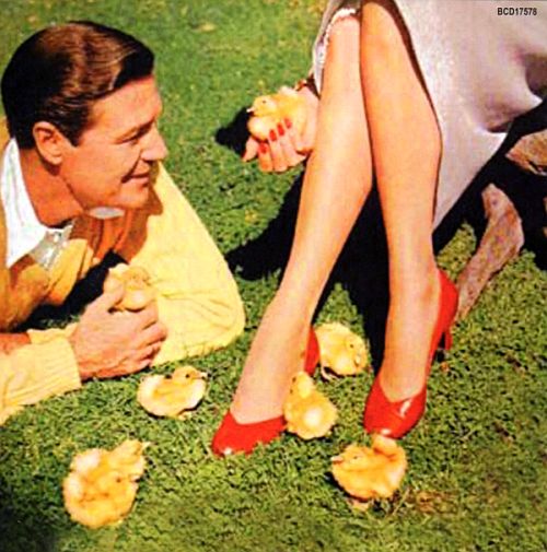 Musenblätter - Das unabhängige Kulturmagazin