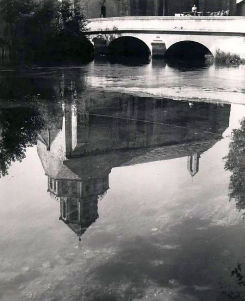 Musenblätter - Das unabhängige Kulturmagazin