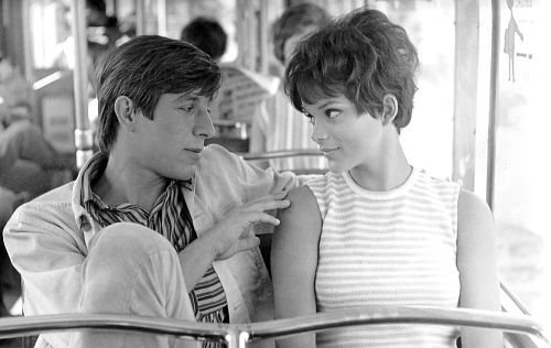 Musenblätter - Das unabhängige Kulturmagazin